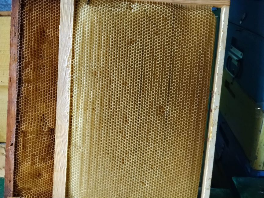 Рамки с сушью