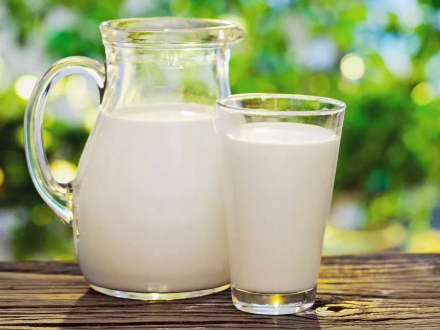 Молочка для животных