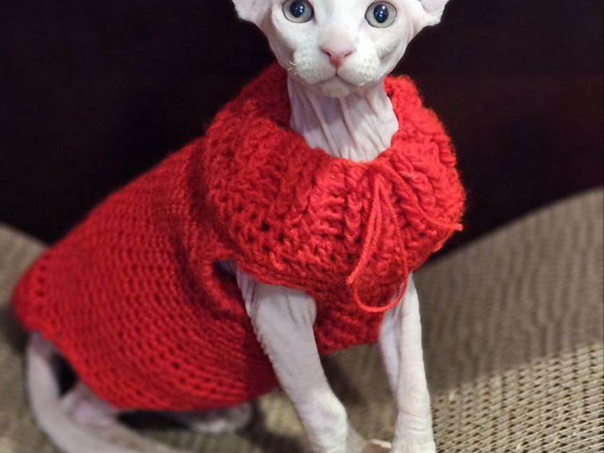 Девочка эльф