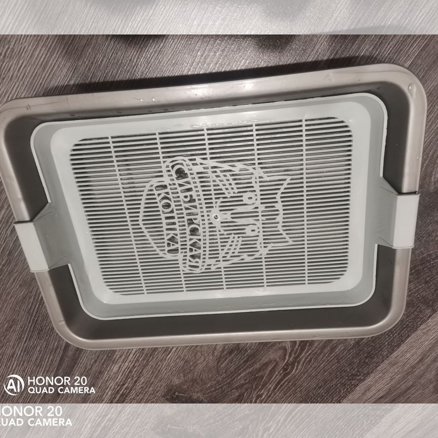 Лоток для котят