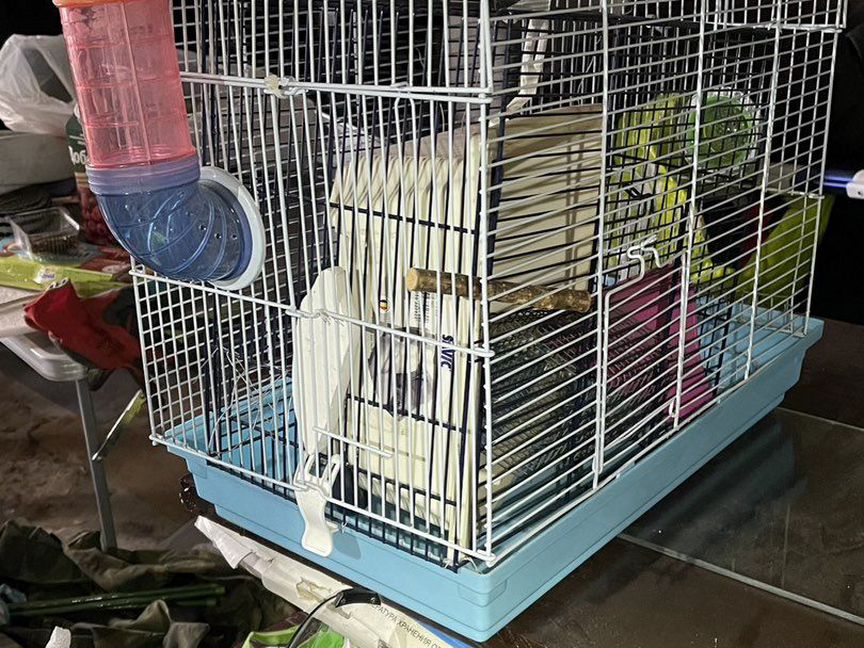 Клетка для грызуна