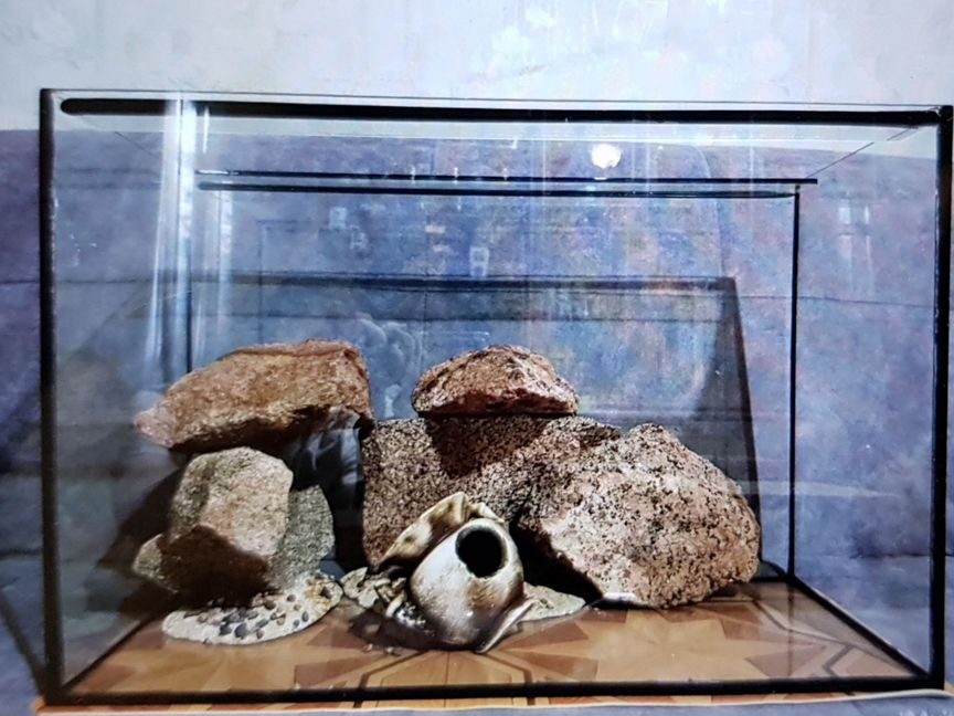 Аквариум на 60л и не только