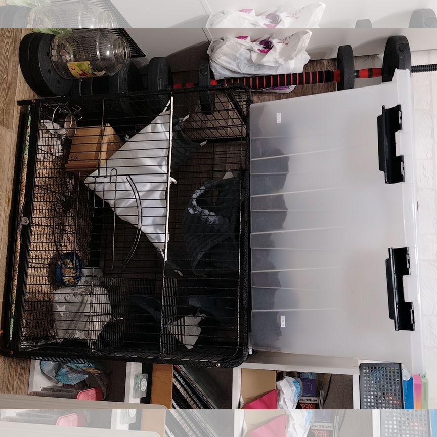 Клетка для грызунов большая