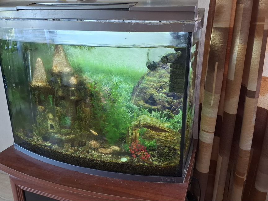 Аквариум tetra 130 л