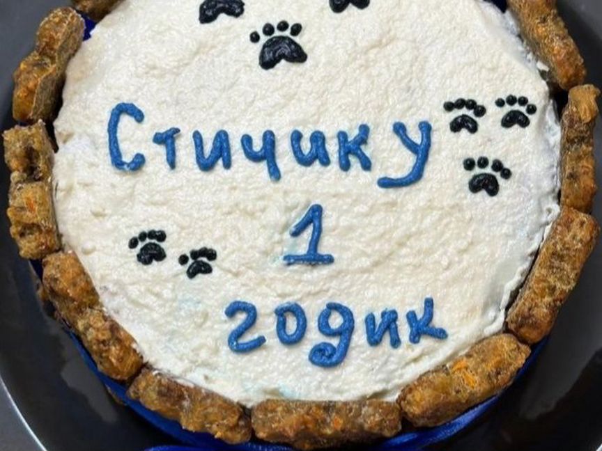 Торт для собак косточка