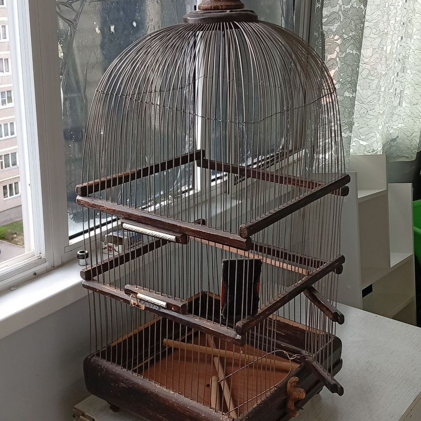 Попугай клетка крутая