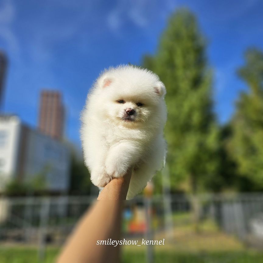 Мальчик красавчик 3 мес