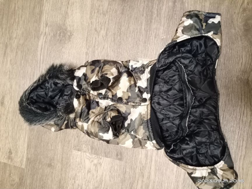 Костюм для таксы