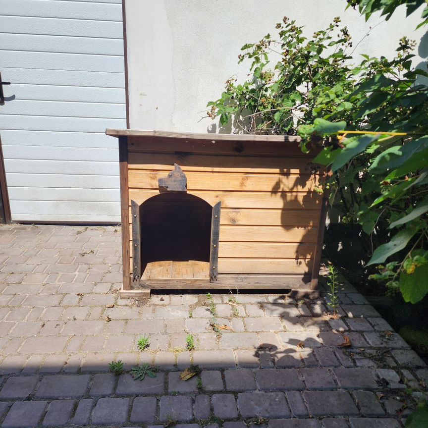 Собачья будка для большой собаки