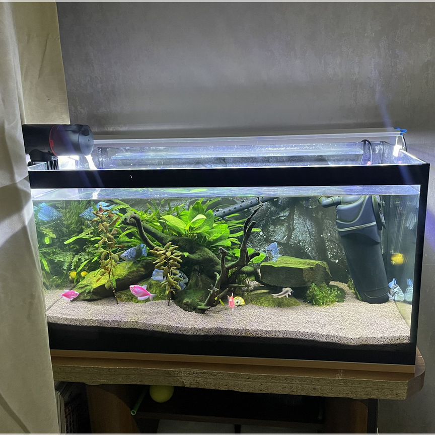 Аквариум бу с рыбками   тумба аквариумная