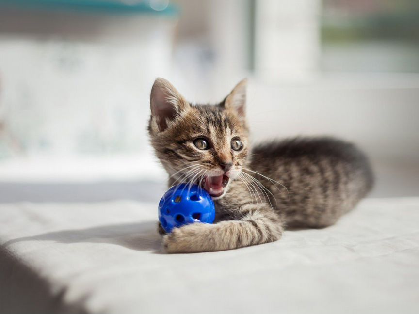 Мистер Икс ждет тебя