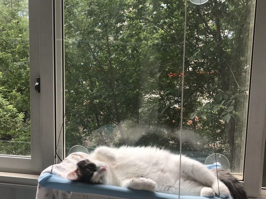 Гамак-лежанка для котов на окно