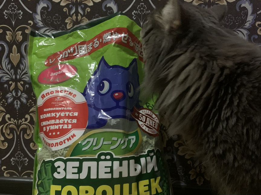 Наполнитель для кошачьего туалета