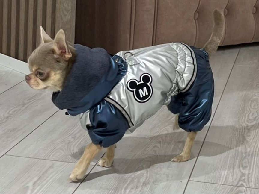 Комбинезон для собак