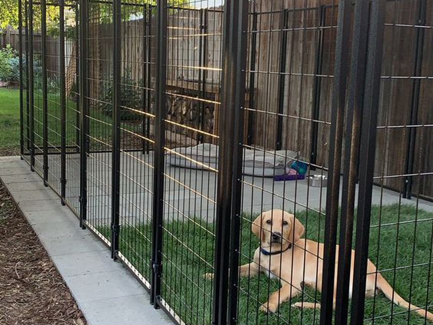 Вольер для собак