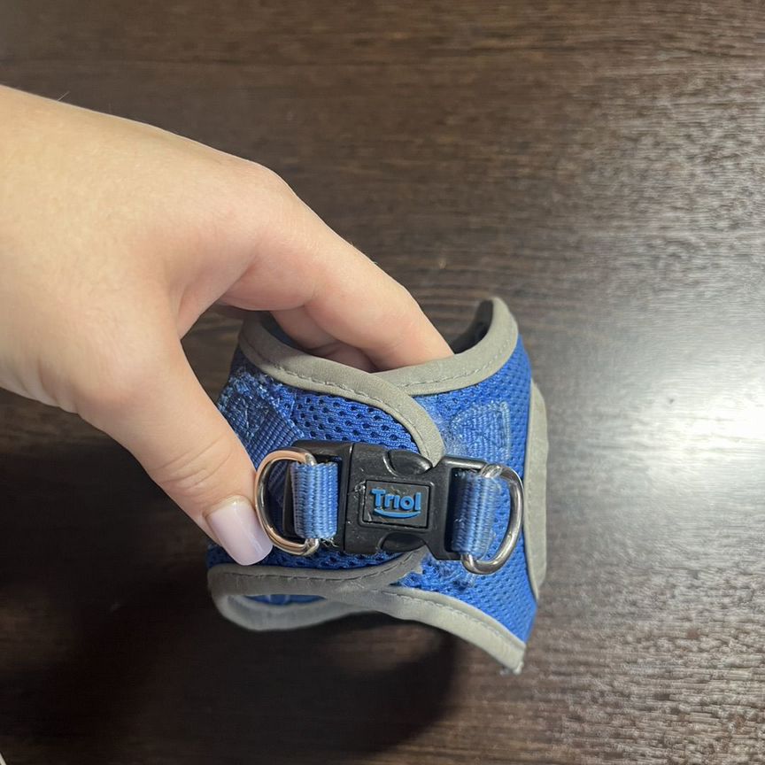 Шлейка для собаки