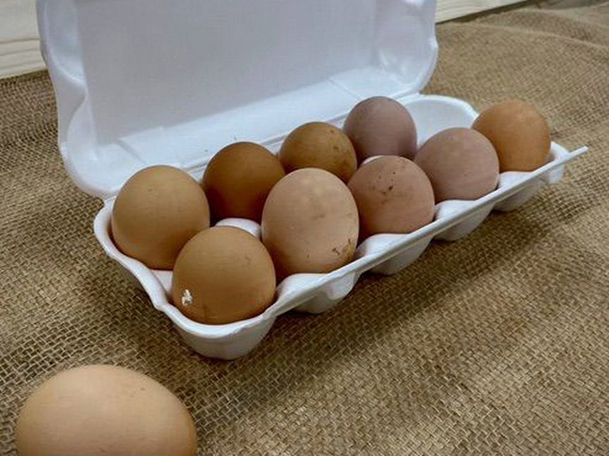 Яйца двухжелтковые