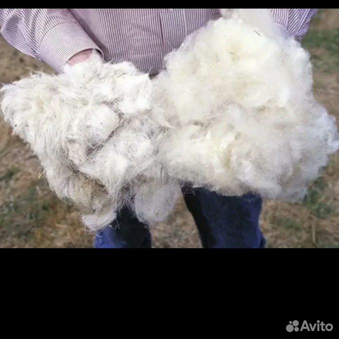 Овечья шерсть
