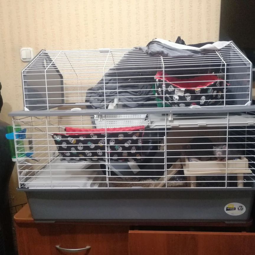 Клетка Ferplast Barn 100