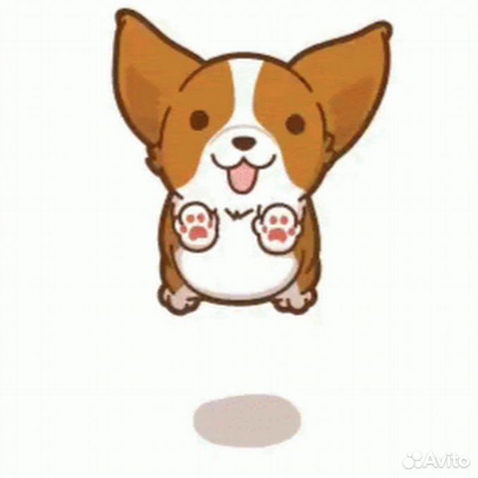 Щенок вельш-корги подросток девочка