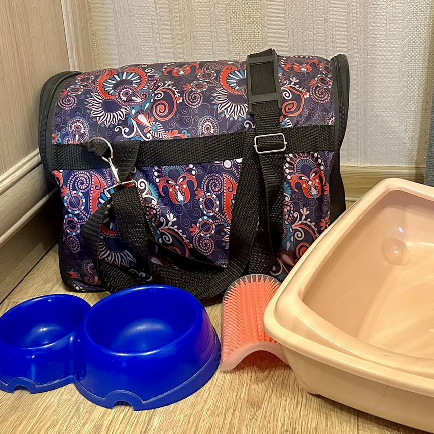 Вещи для кота переноска лоток когтеточка