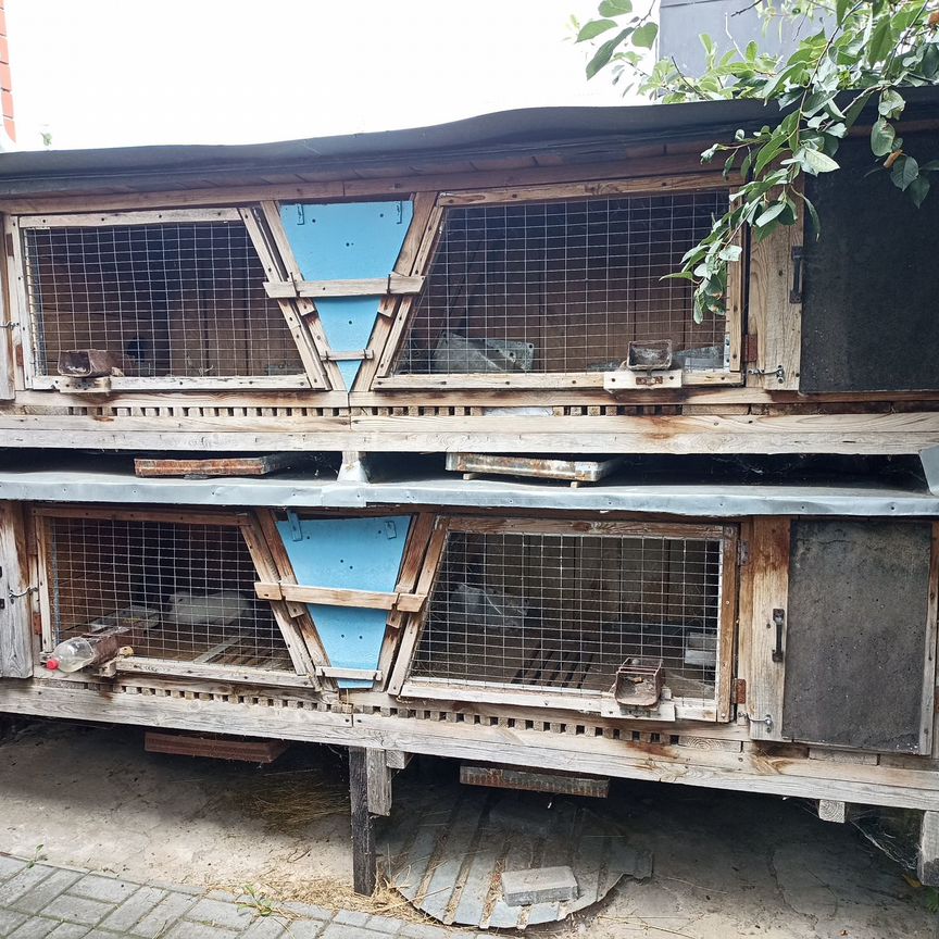 Клетки для кроликов