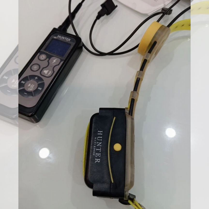 Навигатор с ошейником для собак