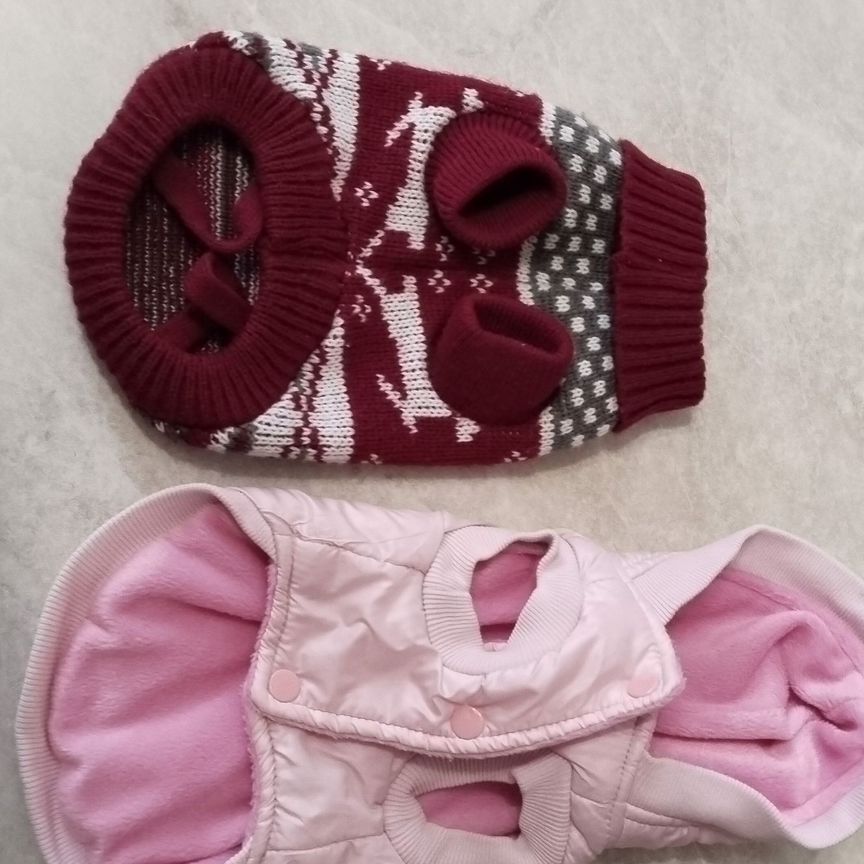 Одежда для щенка