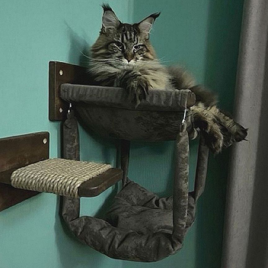 Игровые комплексы для кошек