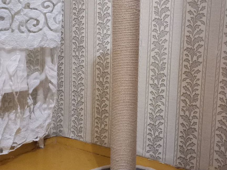 Когтеточка