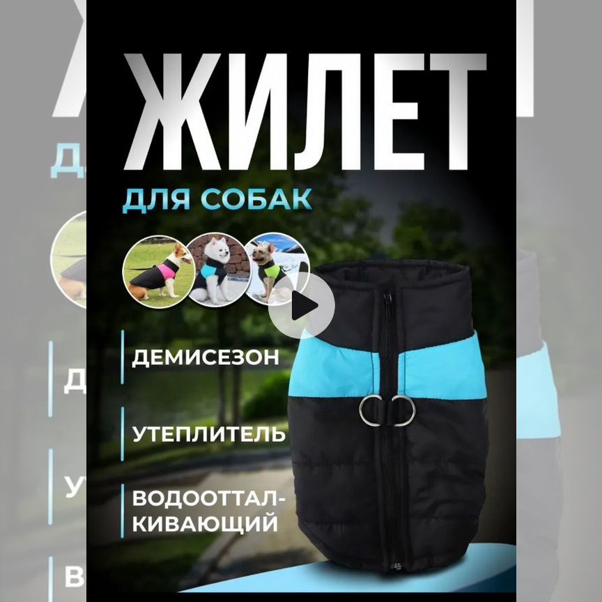 Одежда для собак мелких пород