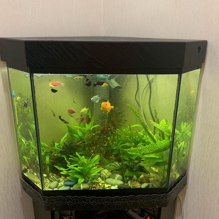 Аквариум с тумбой 80 л, высота 126 см