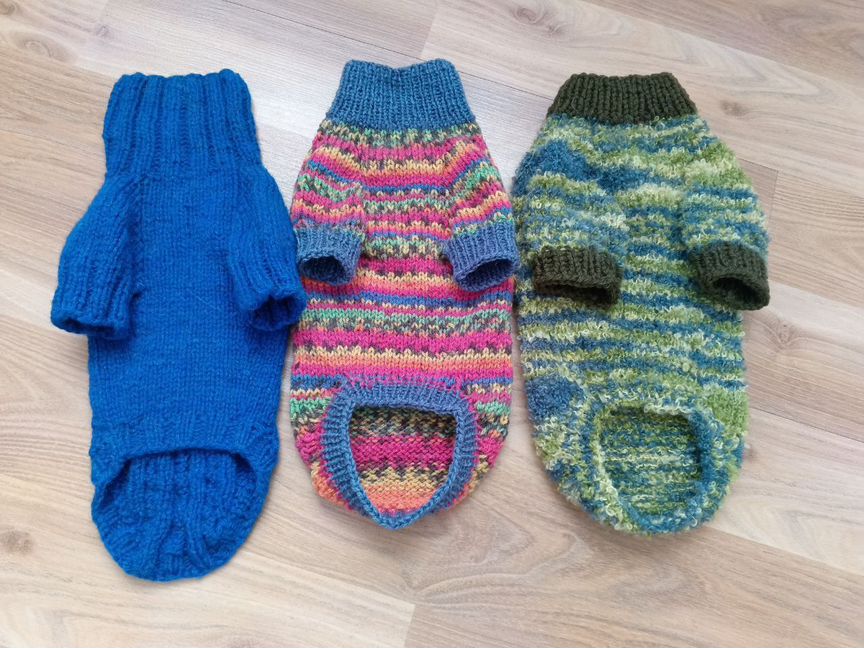 Одежда для кошек и собак