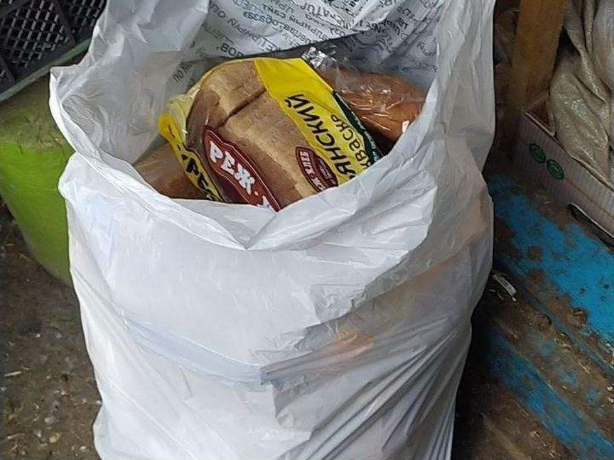 Хлеб для животных