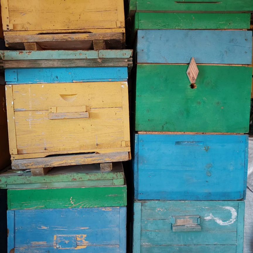 Улей для пчел