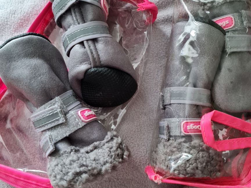 Зимние ботинки для собак