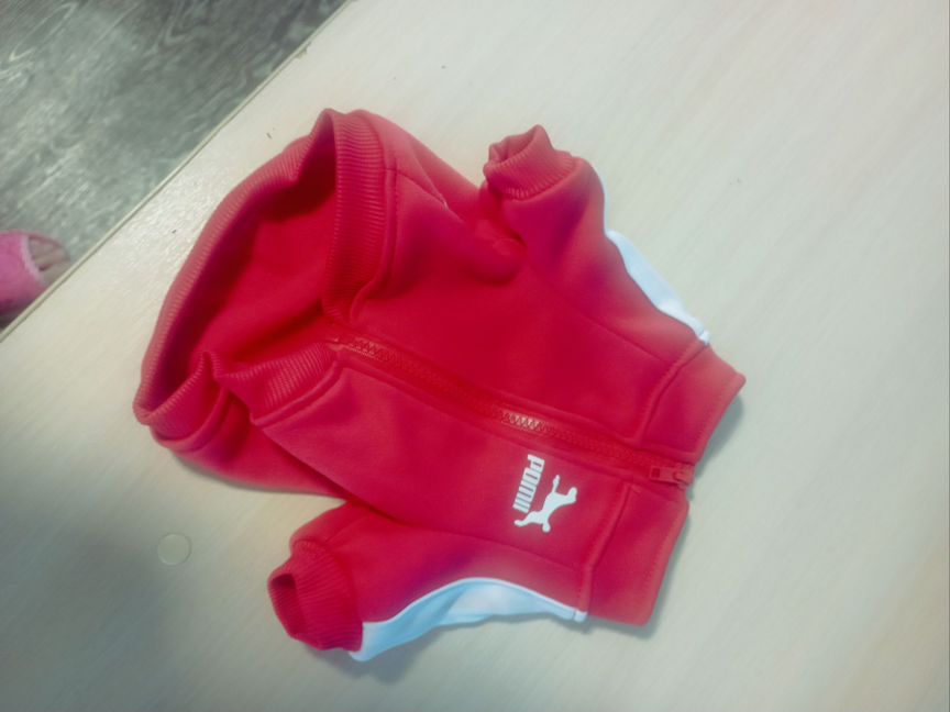 Одежда для маленьких собак