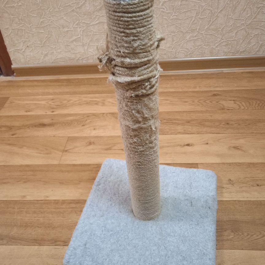 Когтеточка