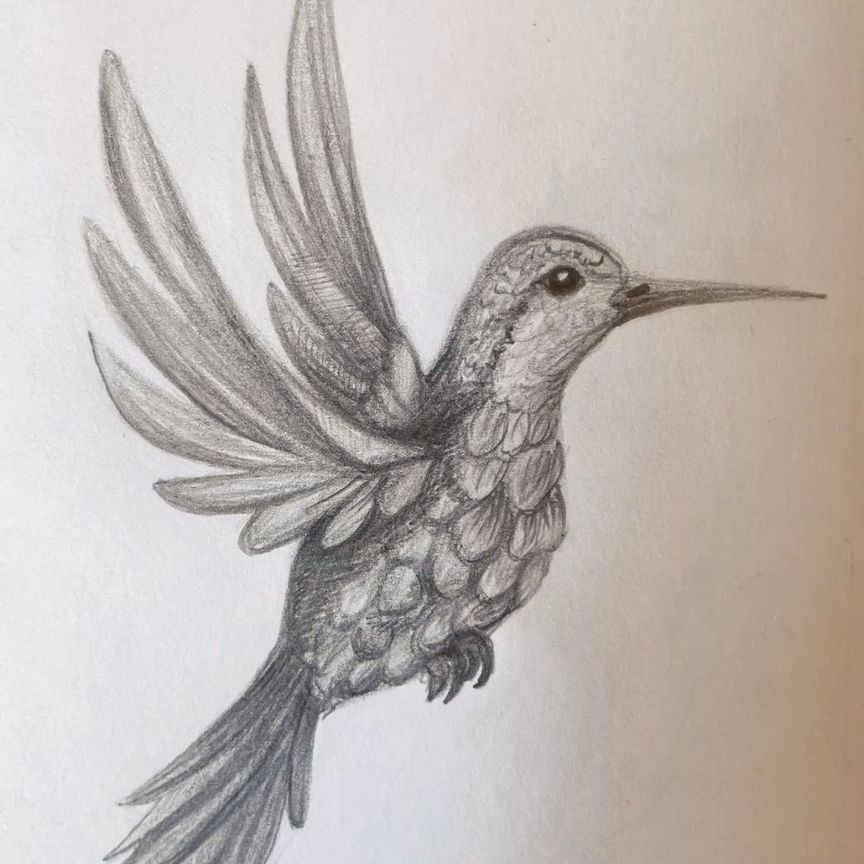 Рисую ваших питомцев