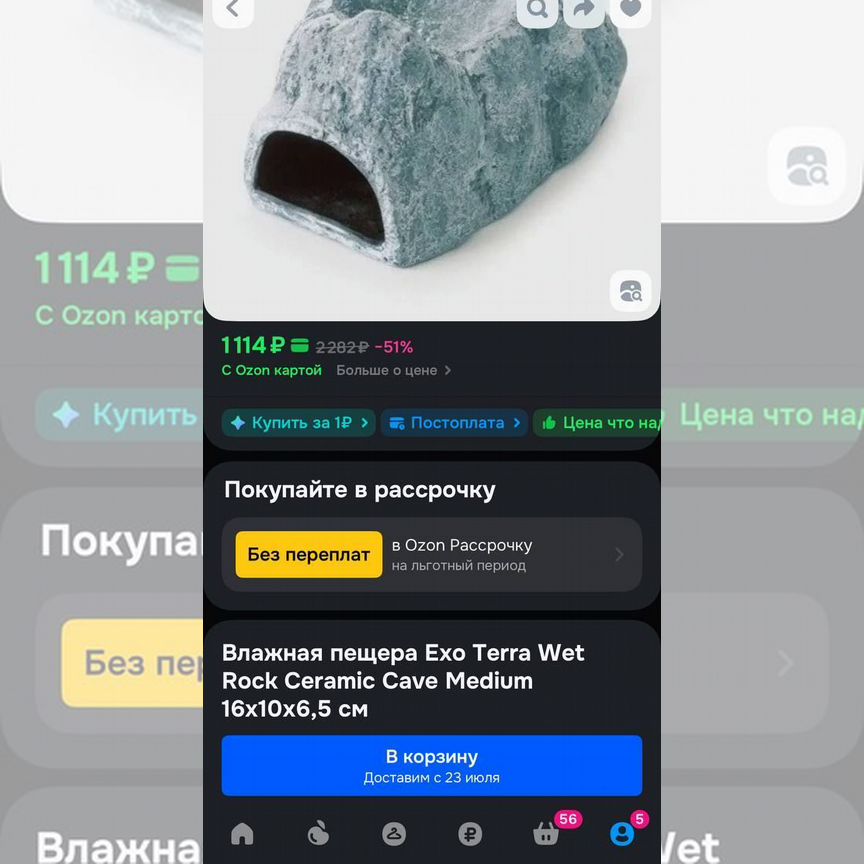 Влажная камера для рептилий