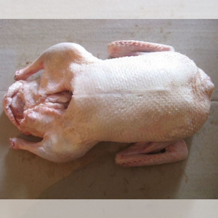 Мясо утки,утка