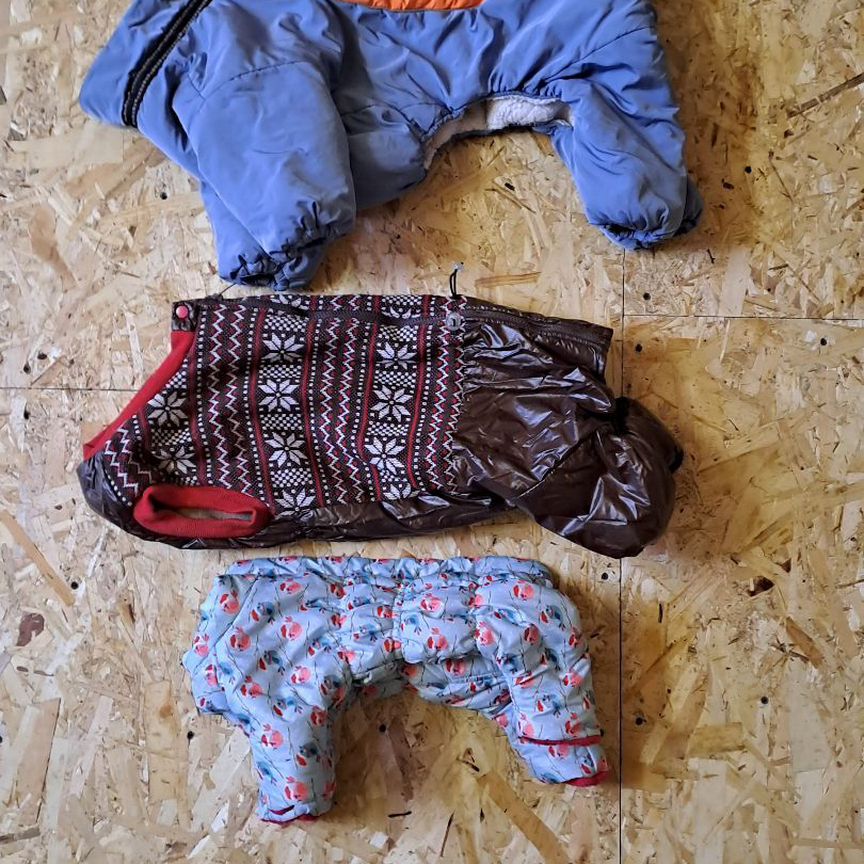 Костюм прогулочный для собак