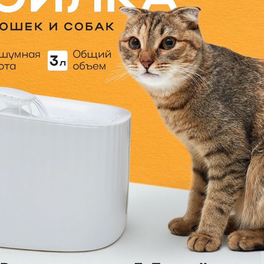 Фонтан поилка для кошек