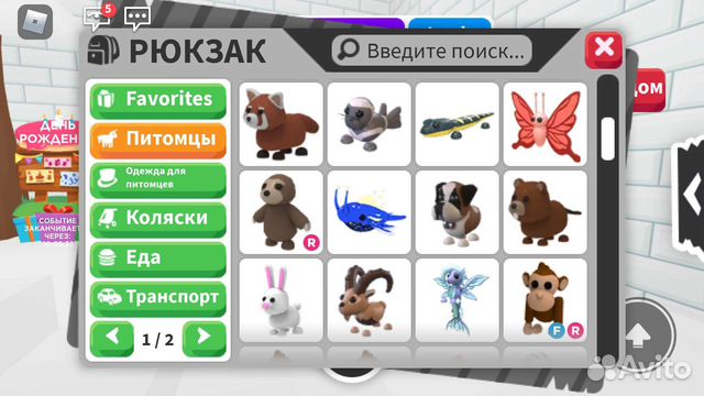 Продаю петов