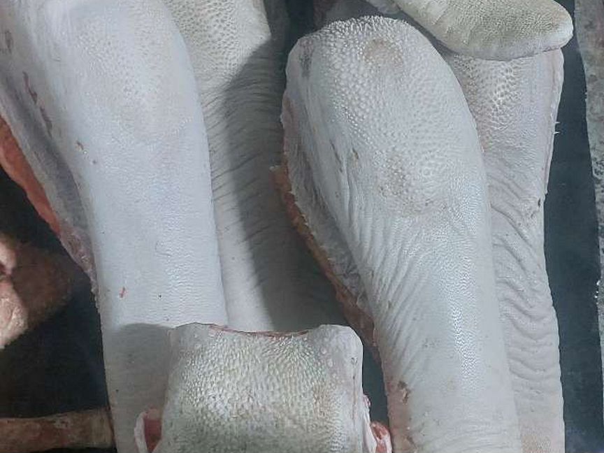 Язык говяжий