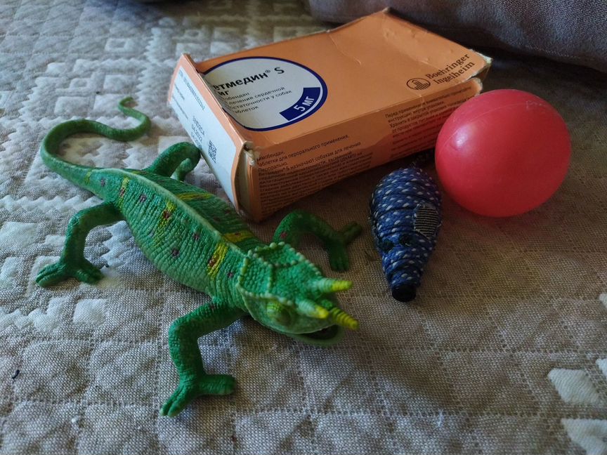 Игрушки для животных