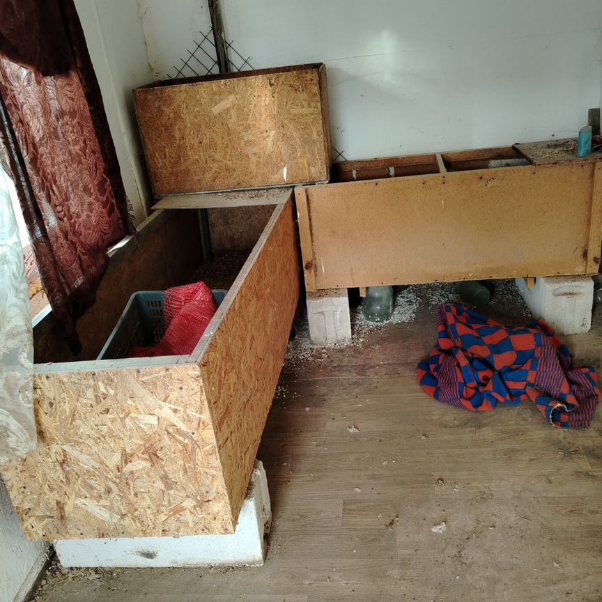 Ящик брудер