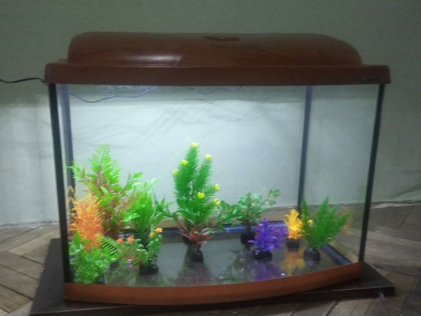 Аквариум Aqua Plus 50л