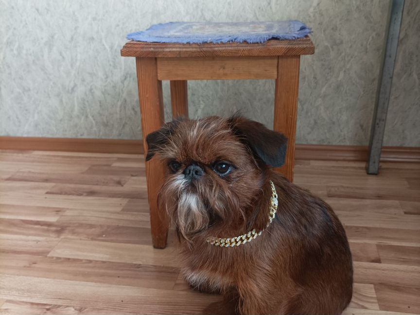 Вязка