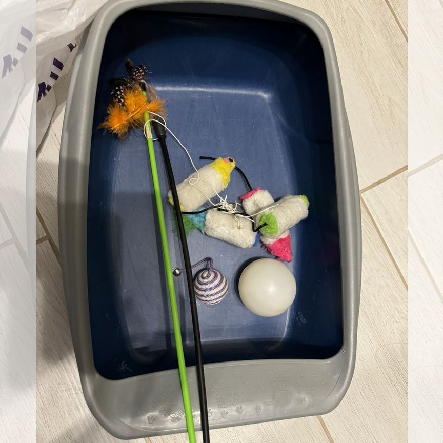 Горшок для кошек высокий   игрушки